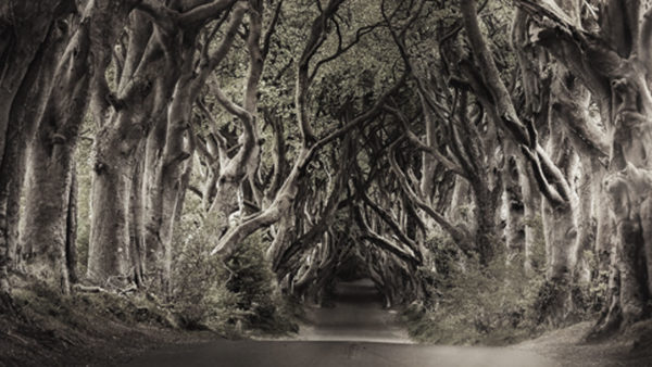 Types of Ghosts | Ghostly World