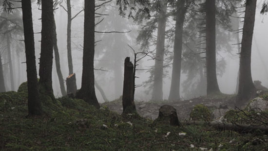 Types of Ghosts | Ghostly World