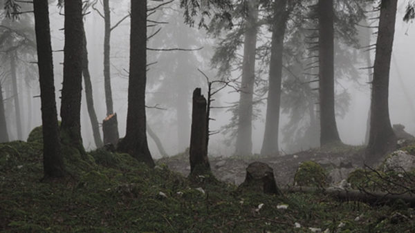 Types of Ghosts | Ghostly World