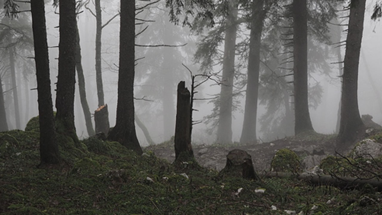 Types of Ghosts | Ghostly World